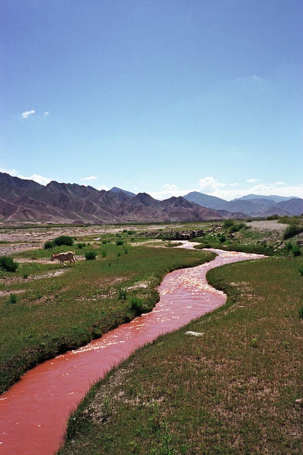 Rode Rivier stock afbeelding. Image of hemelen, groen - 6036321