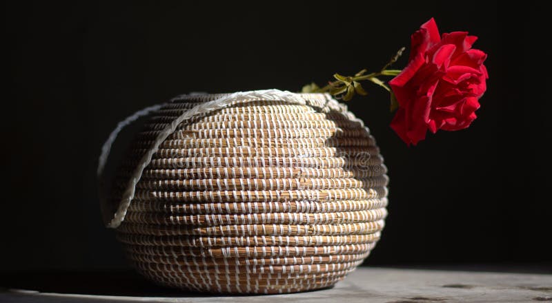 Rode Die Rozen En Een Gedicht Met Een Oude Pen Wordt Geschreven Stock ...