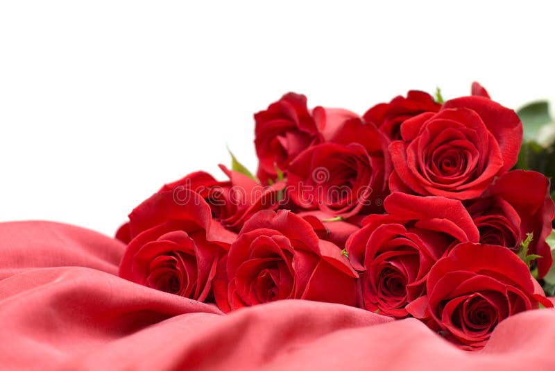 Rode rozen en zijde stock afbeelding. Image of satijn - 16989387