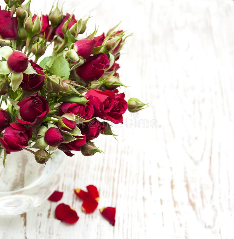 Rode rozen in vaas stock foto. Image of schoonheid, gehuwd - 48106274