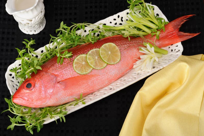 Rode snapper vissen stock afbeelding. Image of keurig - 15904697