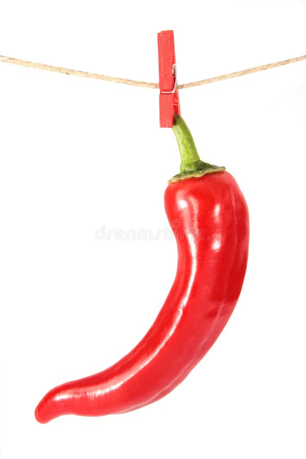 Rode Chili stock foto. Image of cultuur, chili, plantaardig - 4901592