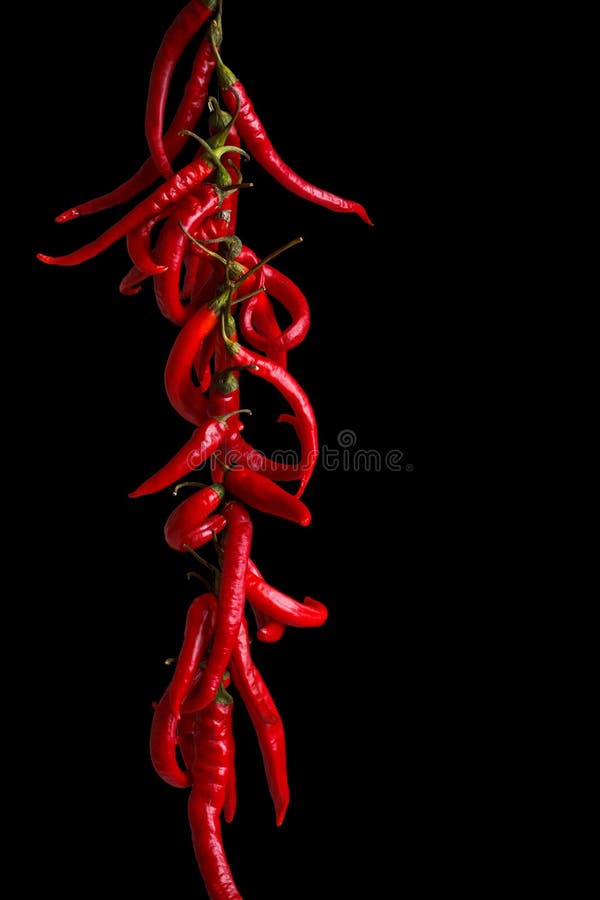 Rode tong stock foto. Image of rood, tand, leuk, klein - 1605616