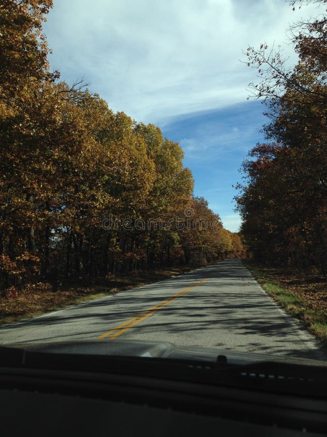 Rode trip stock image. Image of trees, high, trip, rode - 96489059