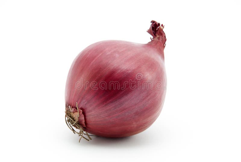 Rode ui stock foto. Image of vitamine, rijp, voedsel - 14405014