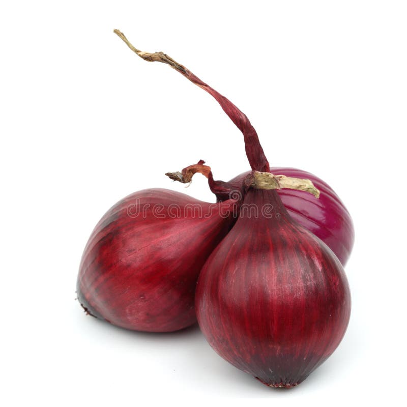 Rode ui stock foto. Image of bloem, onplezierig, ingrediënt - 3581846