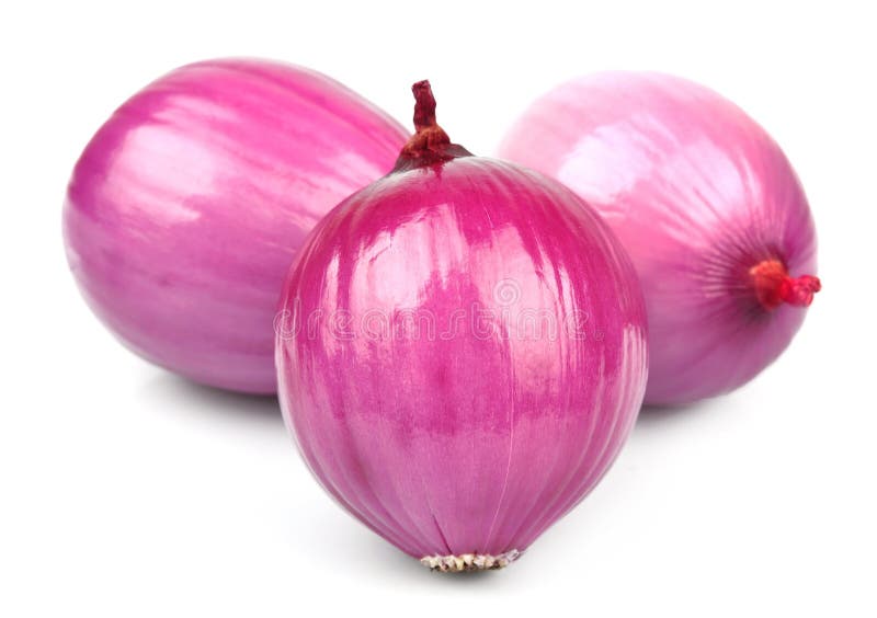 Rode Ui En Verse Peterselie Stock Foto - Image of schil, rood: 30325834