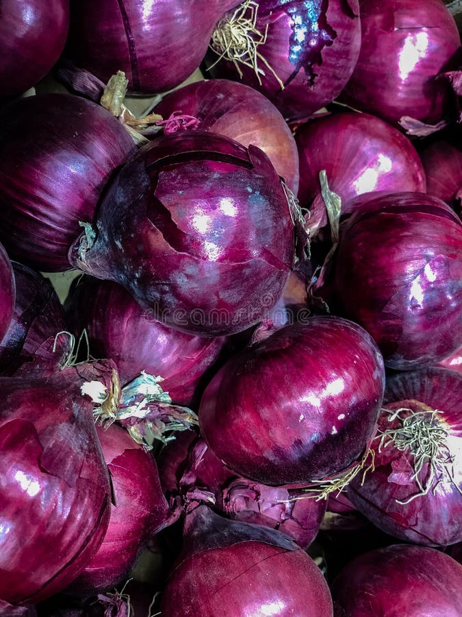Rode Uien in Overvloed Op Vertoning Bij Lokale Landbouwers` S Markt ...