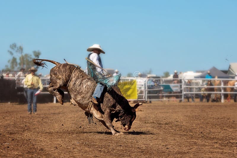 Cowboy a Montar Touros Num Rodeio Campestre Foto de Stock Editorial ...