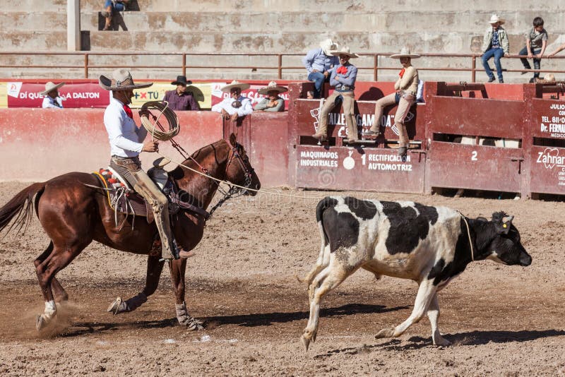 Rodeio Mexicano Em San Luis Potosi Mexico Imagem Editorial - Imagem de ...