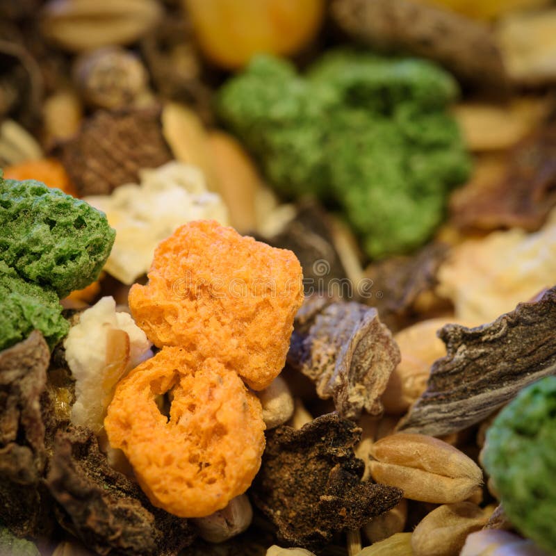 RODENT FOOD stock photo. Image of grain, shop, rodents - 306402572