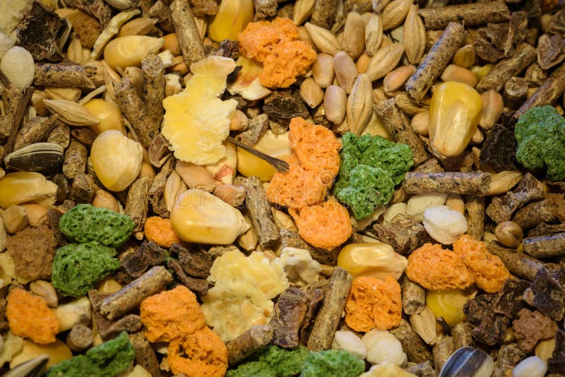 RODENT FOOD stock photo. Image of vegetable, small, texture - 306402626