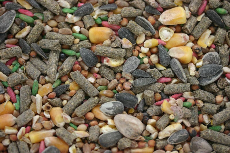 Rodent food mix stock photo. Image of chinchilla, nutrients - 646418