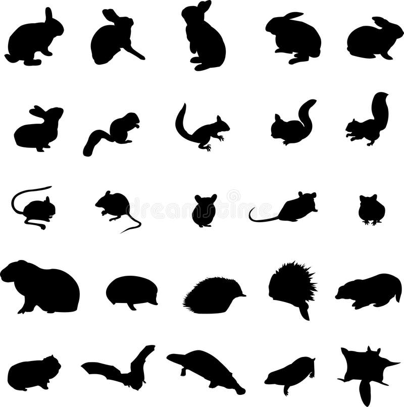 Rodents and small mammals stock vector. Illustration of badger - 9458651