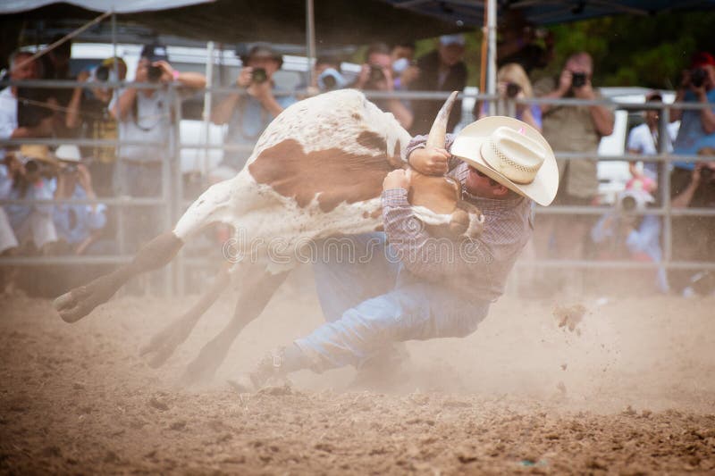 Reno Rodeo editorial photography. Image of montana, american - 33984567