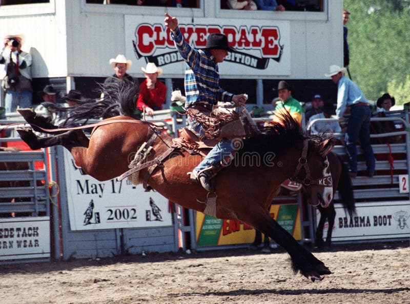 Rodeo redaktionelles foto. Bild von männer, sport, west - 4338586