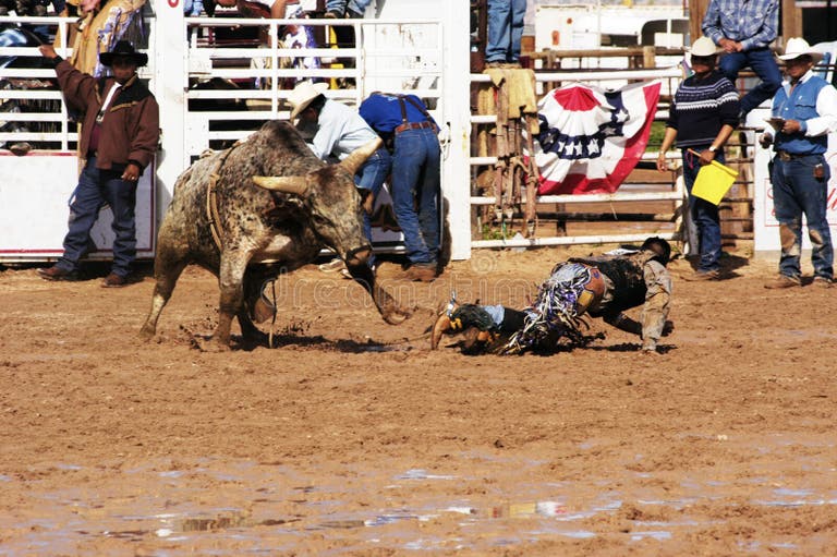 Rodeo action stock image. Image of dirt, rodeo, bulldogging - 805473