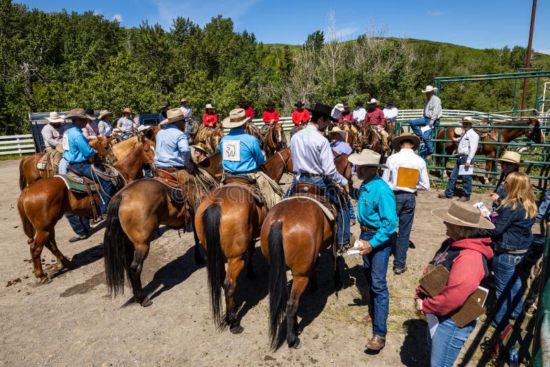 Rodeo Bronco Riding in Pincher Creek Canada Editorial Stock Image ...