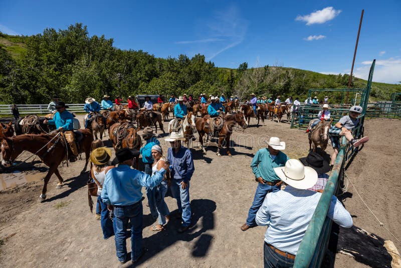 Rodeo Bronco Riding in Pincher Creek Canada Editorial Stock Image ...