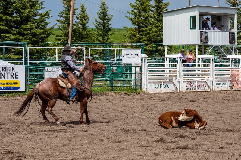 Rodeo and Bronco Riding in Pincher Creek Canada Editorial Image - Image ...