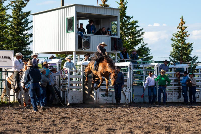 Rodeo and Bronco Riding in Pincher Creek Canada Editorial Stock Photo ...