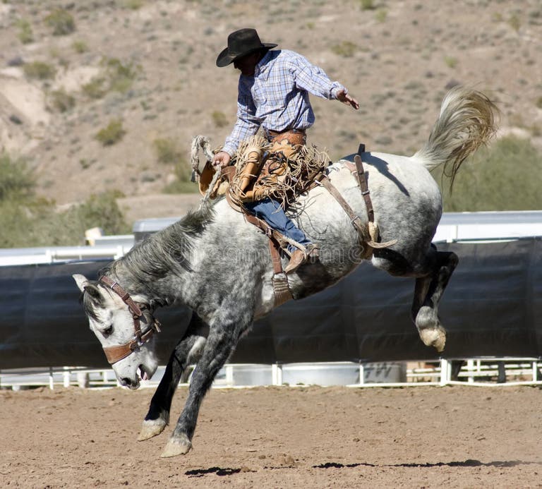 Rodeo Bucking Bronc Rider editorial image. Image of dangerous - 20951155