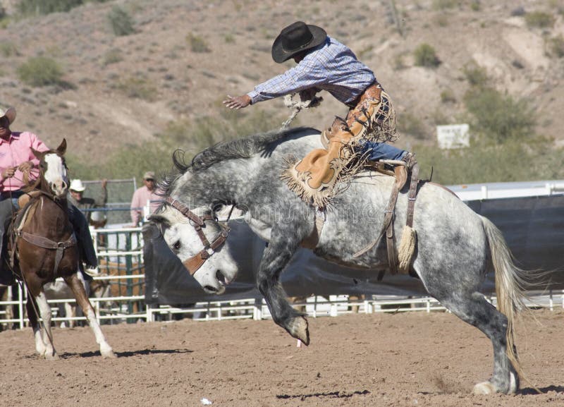 Rodeo Bucking Bronc Rider editorial photography. Image of county - 20951167