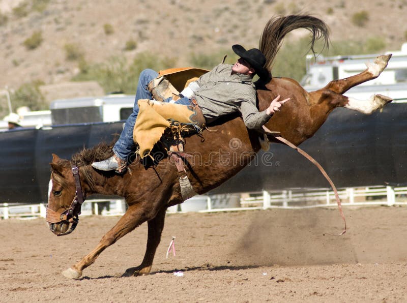 Rodeo Bucking Bronc Rider editorial photography. Image of competitor ...