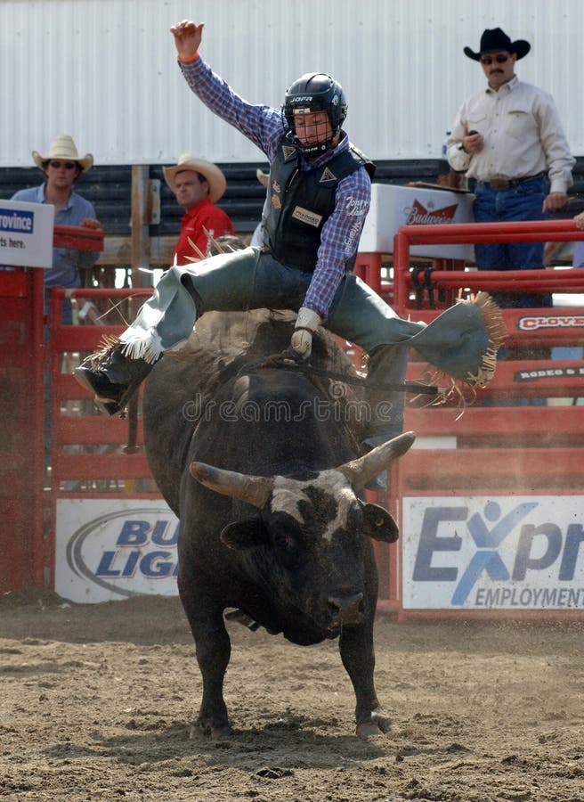 Rodeo: Bull Fighting editorial photo. Image of steer, fight - 5508771