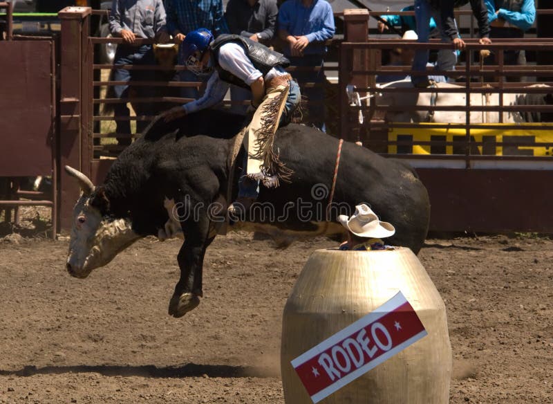 Rodeo Action stock image. Image of determination, action - 35955387