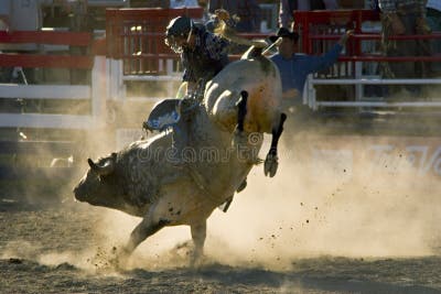 130 Bullriding Cali Stock Photos - Free & Royalty-Free Stock Photos ...