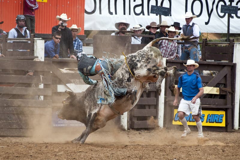 Rodeo - Cowboy Falling Off a Bull Editorial Photography - Image of ...