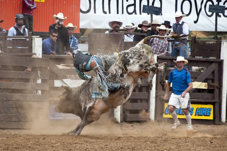 Rodeo - Bull Riding editorial stock photo. Image of falling - 17881748