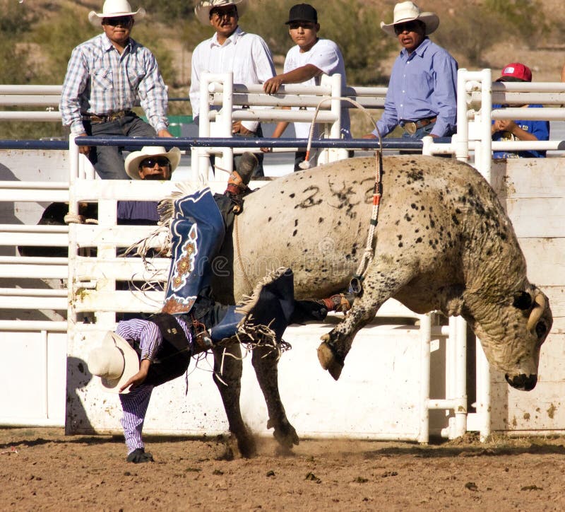 Rodeo Bull Riding editorial photography. Image of championship - 20958132