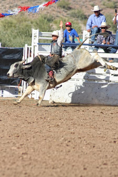 Rodeo Bull Riding editorial image. Image of competitor - 20958150
