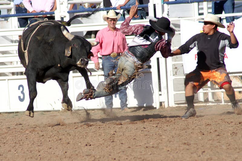 Rodeo Bull Riding editorial photo. Image of california - 20958156
