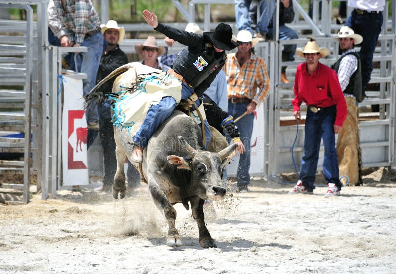 Rodeo Bull Riding editorial stock image. Image of fall - 20958124
