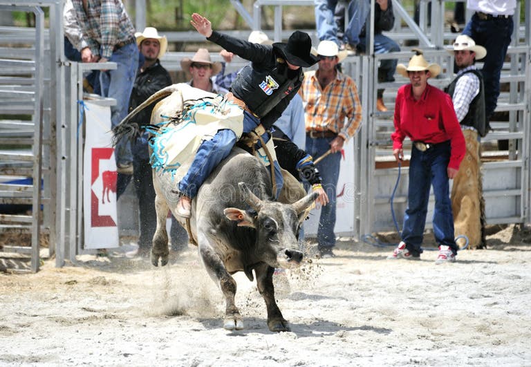 Rodeo Bull Riding editorial photo. Image of sports, bull - 6214601