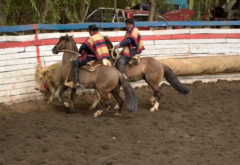Rodeo chileno foto de archivo editorial. Imagen de chileno - 30062233