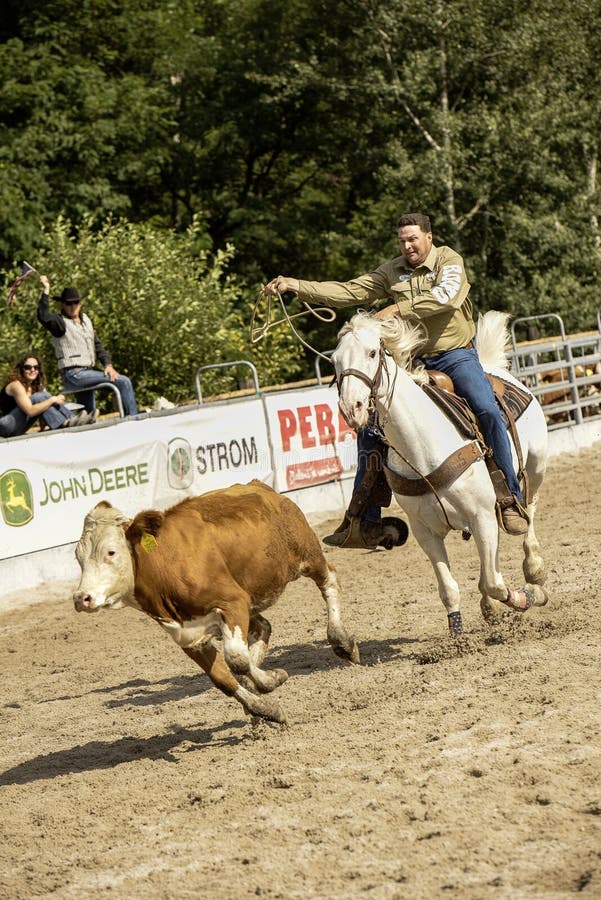 Rodeo competition editorial stock image. Image of agriculture - 44047664