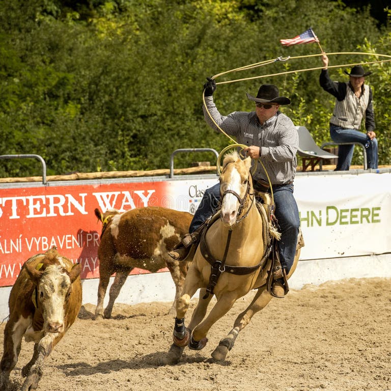 Rodeo Competition in Ranch Roping Editorial Stock Image - Image of ...