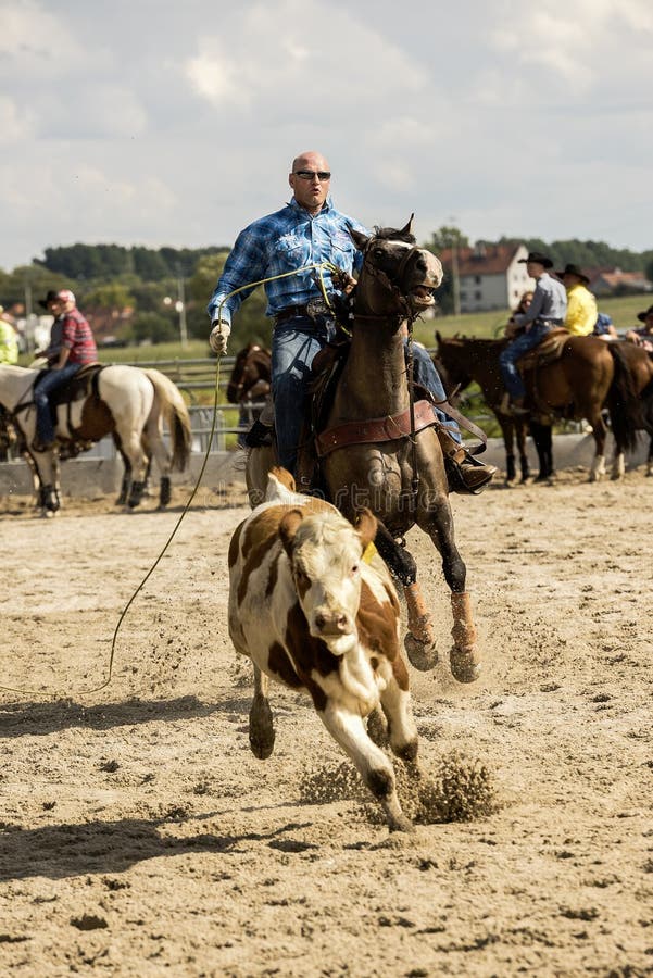 Rodeo Competition in Ranch Roping Editorial Photography - Image of ...