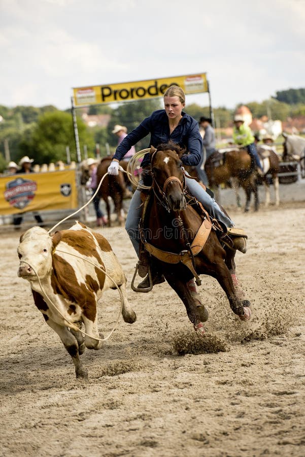 Rodeo Competition in Ranch Roping Editorial Stock Photo - Image of calf ...