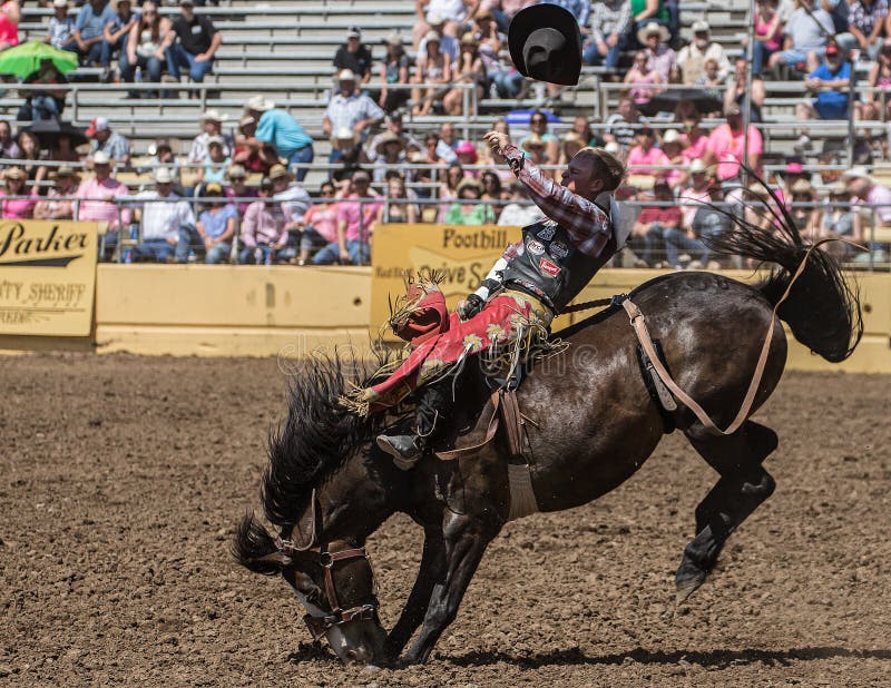 Rodeo-Cowboy Auf a-schwierigem Moment Redaktionelles Stockfotografie ...