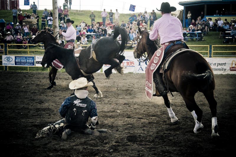 Rodeo and cowboys editorial image. Image of sports, wild - 28945760