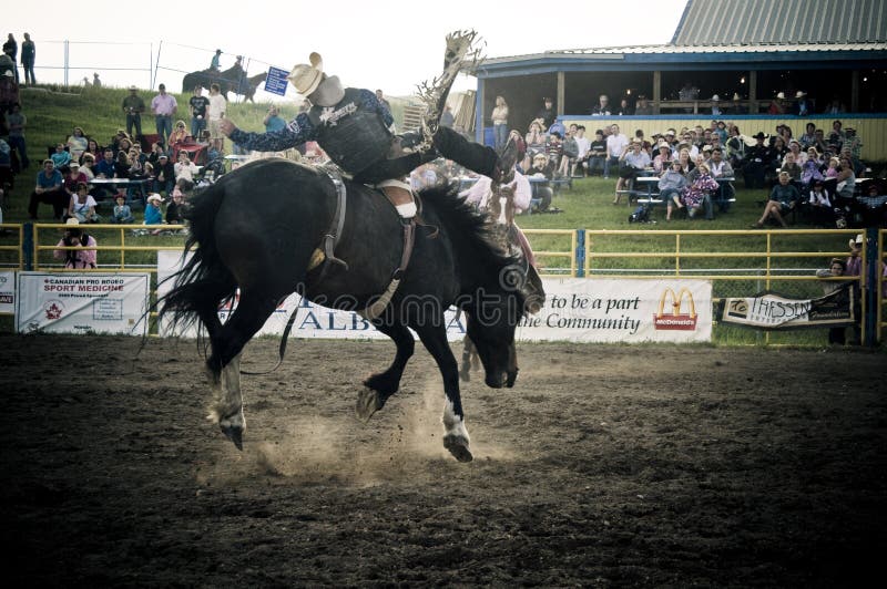 Rodeo and cowboys editorial photo. Image of hourse, western - 28945776