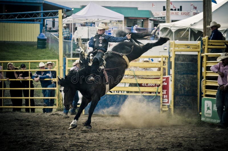 Rodeo and cowboys editorial photo. Image of cowboy, alberta - 28945811