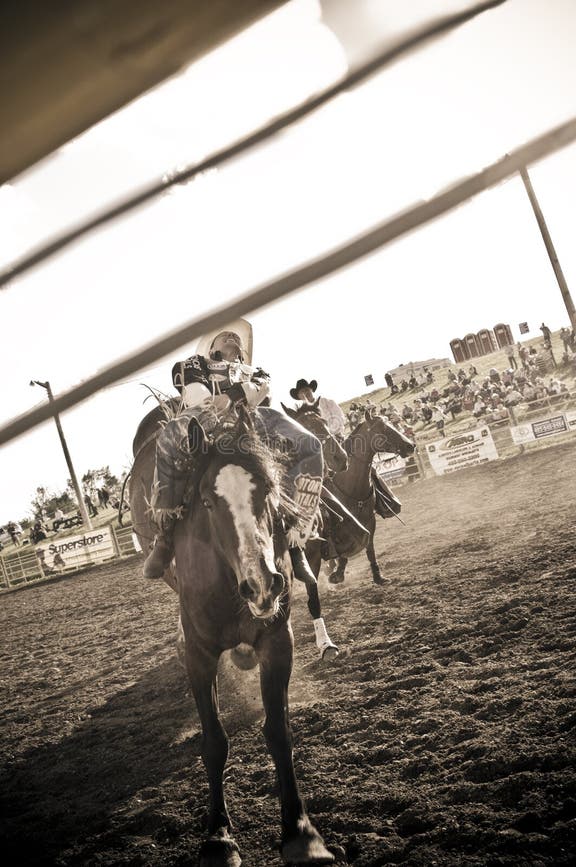 Rodeo and cowboys editorial photo. Image of event, rope - 28945861