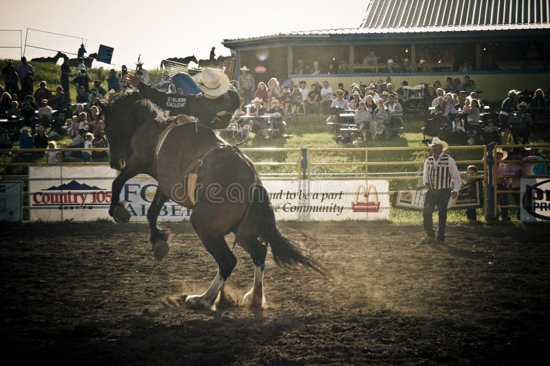Rodeo and cowboys editorial photo. Image of hourse, recreation - 28945881