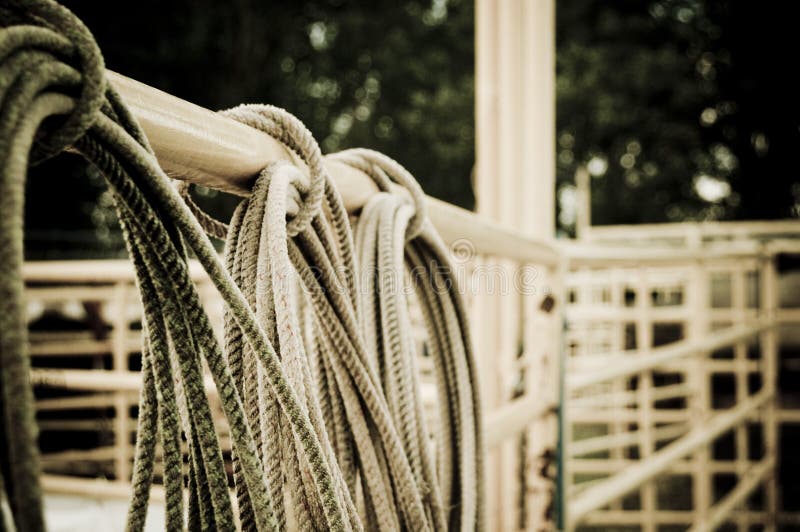 Rodeo De La Cuerda Del Lazo Foto de archivo - Imagen de rodeo, lazo ...